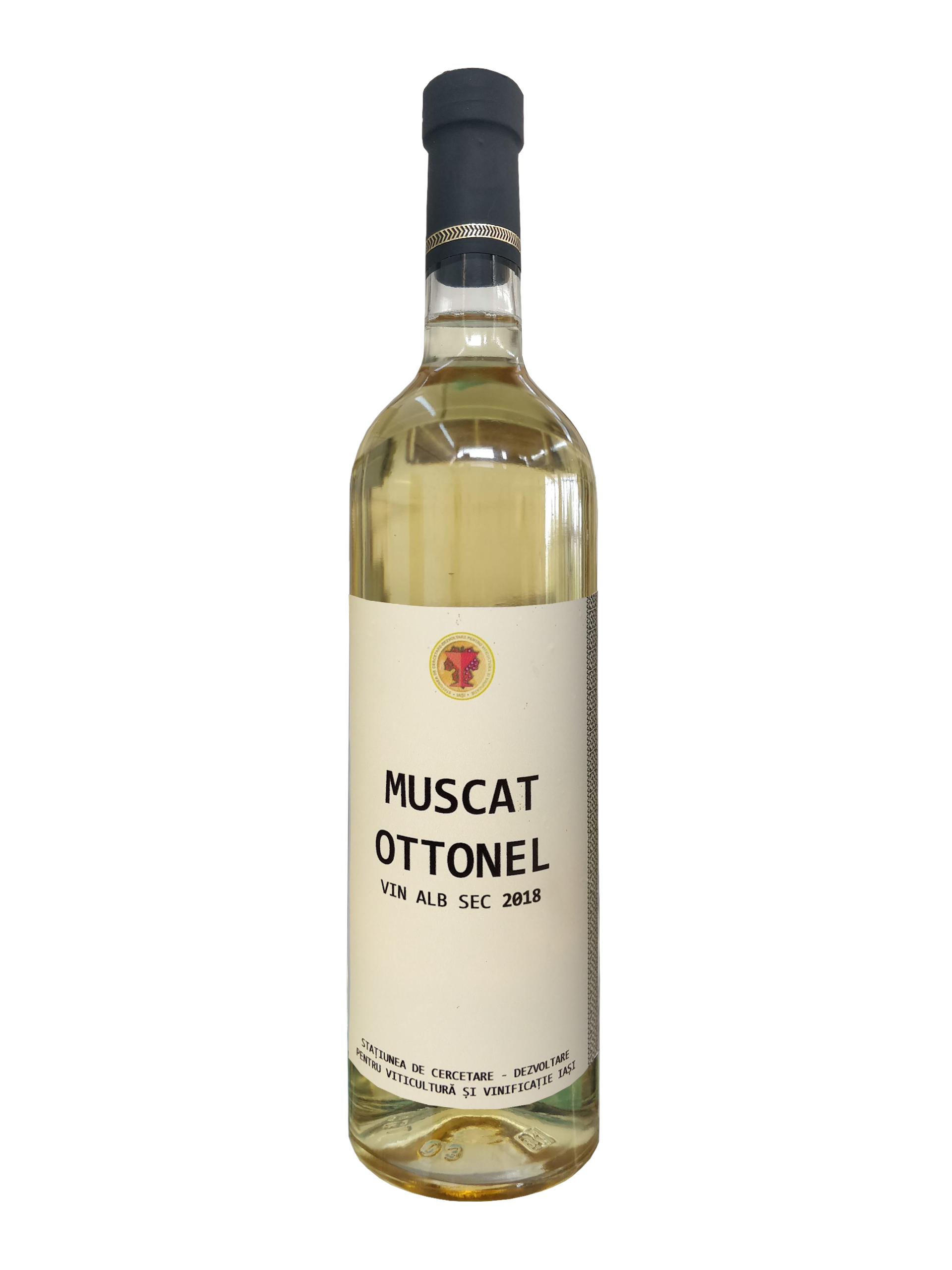 Muscat Ottonel – STAȚIUNEA DE CERCETARE DEZVOLTARE PENTRU VITICULTURĂ ...